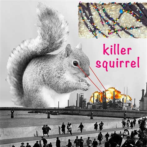 Killer Squirrel Bar Killersquirrelbar • Instagram Photos And Videos