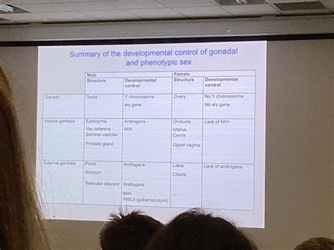 Lent Flashcards Quizlet