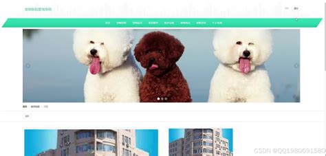 基于springboot的宠物医院管理系统源码文档部署讲解等宠物医院系统项目 Csdn博客