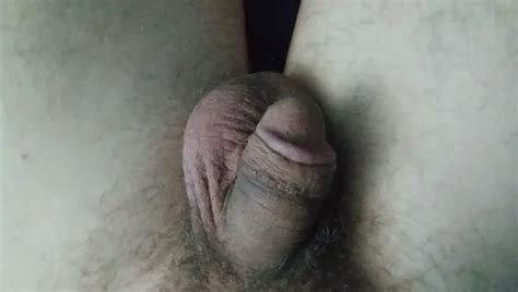 My Dear Penis Xhamster My Dear Penis Xhamster