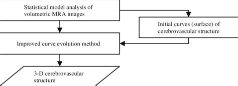 Flow Chart For Cerebrovascular Segmentation Of Tof Mra Using Download Scientific Diagram