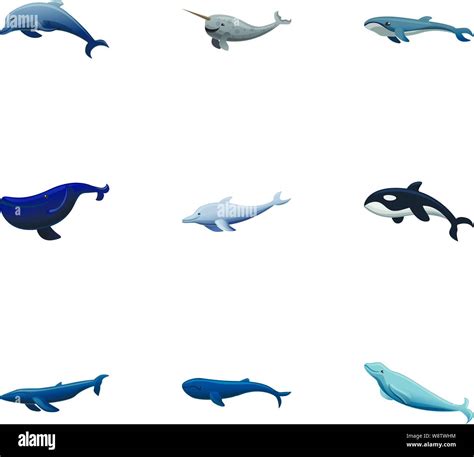 Wildlife Whale Icon Set Cartoon Set Of 9 Wildlife Whale Vector Icons For Web Design Isolated On