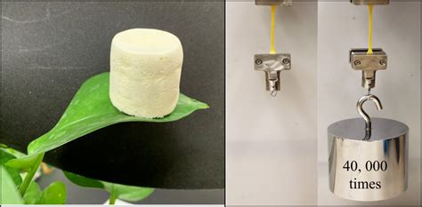 Ultrastrong And Multifunctional Aerogels With Hyperconnective Network Of Composite Polymeric