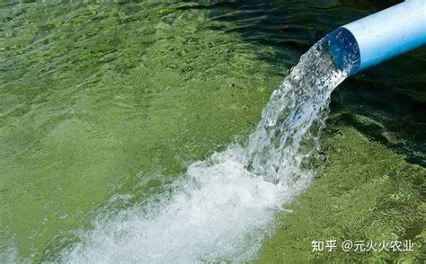 怀宁元火火蓝莓栽培管理技术水源对蓝莓种植的重要性 知乎