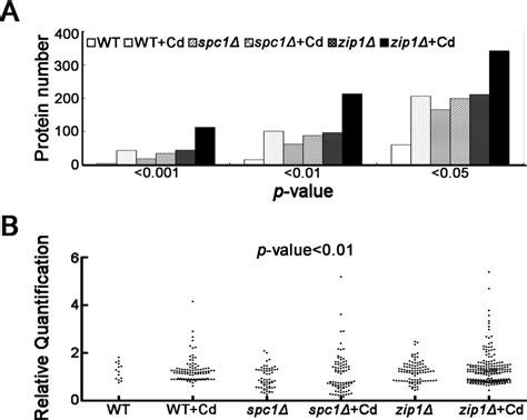 Evaluation Of Itraq Data A Histogram Of Proteins Increased Or