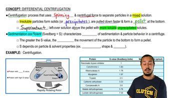 What Is The Main Purpose Of Differential Centrifugation Channels For Pearson
