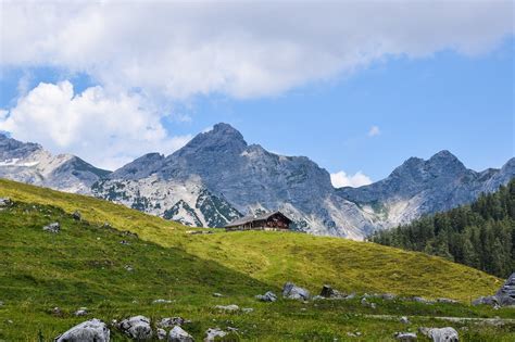 3 무료 칼브 And 산 이미지 Pixabay