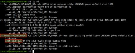 How To Install OpenVPN In Ubuntu Ubuntu