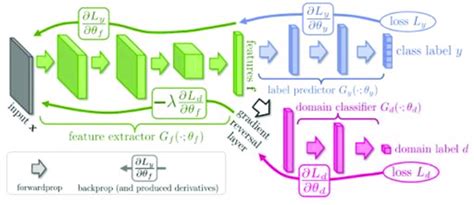 Indistinguishable Domains With A Gradient Reversal Layer In Pink Download Scientific Diagram
