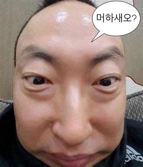 웃긴 밈에 있는 영이 나님의 핀 웃긴 연예인 기분 사진 재미있는 프로필 사진