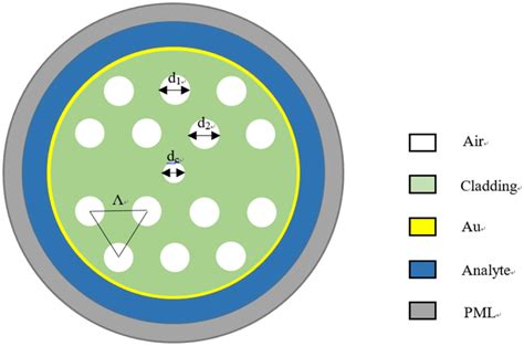 Cross Section Of The Dual Core Pcf Spr Sensor Download Scientific Diagram