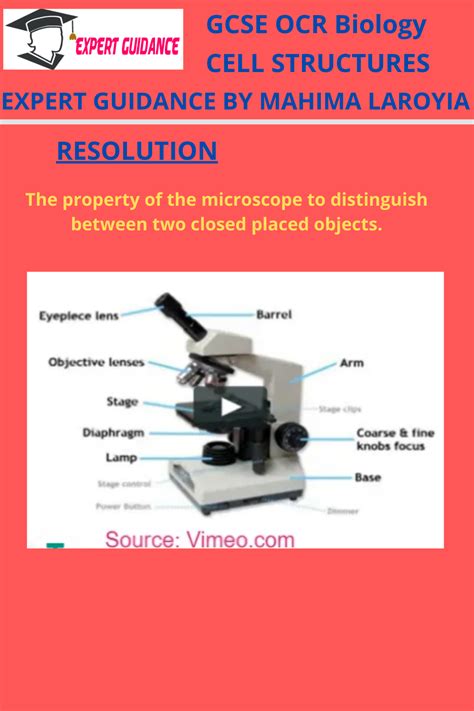 Aqa Gcse Biology Cell Biology Whole Cell Biology In 40 Min Paper 1 Complete Revision Summary