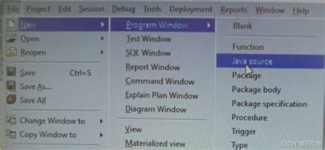 pl sql程序中调用java代码 plsql调用java csdn博客