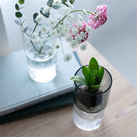 Hario ハリオ ガラスのある生活 ガラスの花器 クリアブラック Gk 200 Tb キッチン用品通販サイト Y Yacht Store