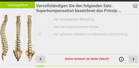 Android Strange Behaviour Of Checked Radiobuttons Stack Overflow