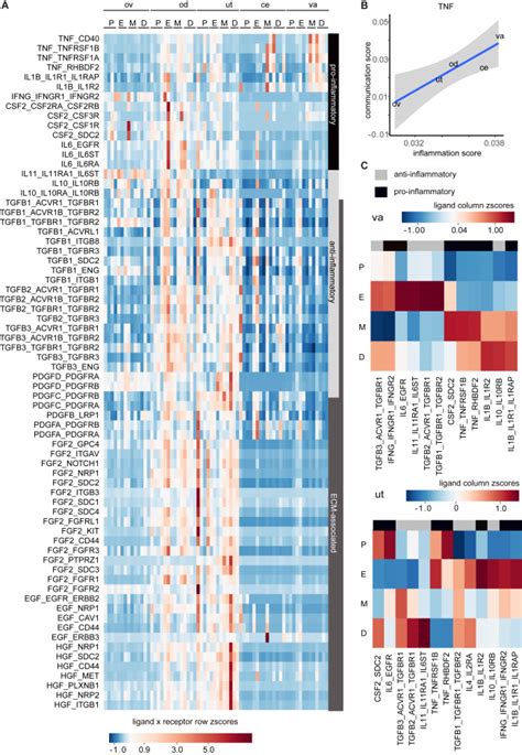 The Cycling And Aging Mouse Female Reproductive Tract At Single Cell Resolution Cell