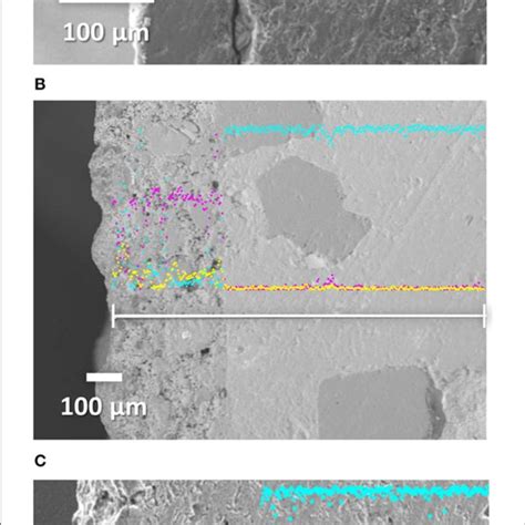 Sem Images And Concentration Profiles Of Si Kα 1739 Kev K Kα