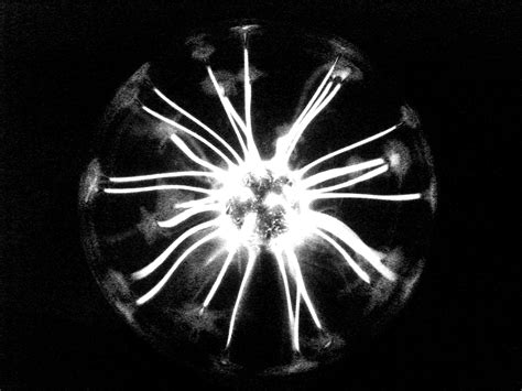 Nlp Neuro Linguistic Programming The Basics