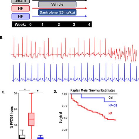 Dantrolene Mitigates Ventricular Tachycardia Fibrillation Vt Vf And Download Scientific