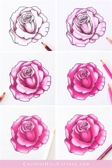 Free Printable Rose Coloring Pages 10 Realistic Designs For Adults