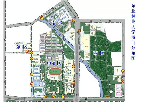 西南林业大学地图 西南林业大学林学院 西南林业大学图片 第3页 大山谷图库