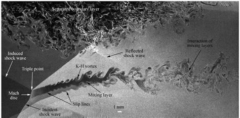 Complex Flow Field Generated By Shock Wave And Shockboundary Layer
