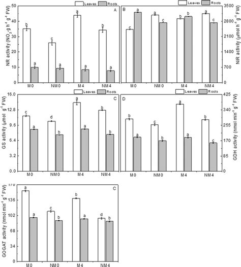 Activity Of Nitrate Reductase Nr No 2 µg Hr −1 G −1 Fw A Nitrite Download Scientific