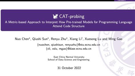 Underline Cat Probing A Metric Based Approach To Interpret How Pre Trained Models For
