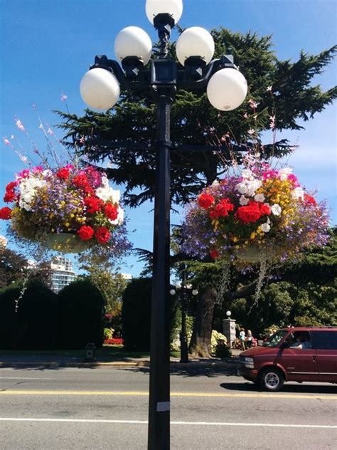 [한국어 가이드] 빅토리아 하루투어 에릭과 함께하세요 줌줌투어 캐나다 밴쿠버