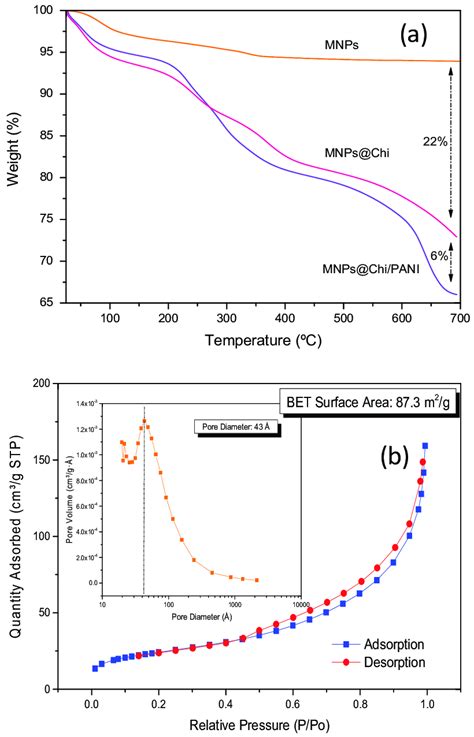 A Thermogravimetric Curves Of Bare Mnps Mnpschi And Mnpschipani