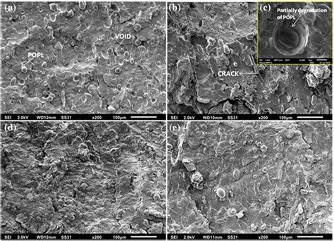 Sem Micrographs Of Fractured Surface Of Pp Biocomposites A S2 B S3 C Download Scientific