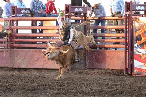 Merced County Fair Brings Community Together For Tradition Fun Education — Merced County Times