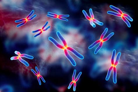 Molecular Medicine And Human Genetics Molecular Genetics