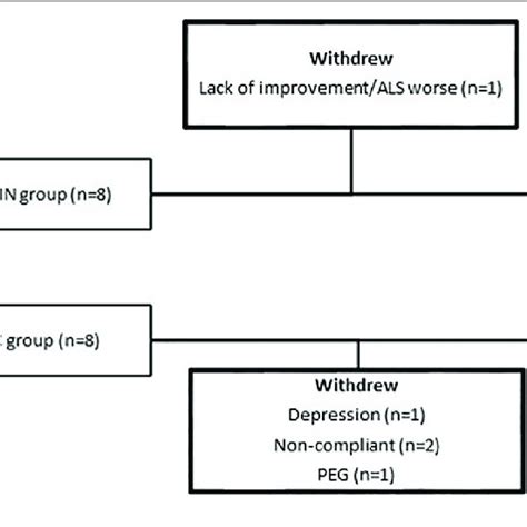 Flow Chart Of Participants From Random Assignment To Interventions Download Scientific