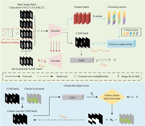 figure 2 from cluster re supervision bridging the gap between image level and pixel wise labels