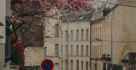 Бесплатные стоковые фото на тему Caen French Town Sakura Spring In France Travel Photography