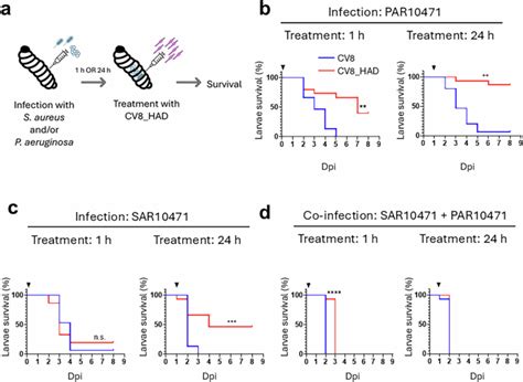 Engineered Mycoplasma Pneumoniae Targeting Dual Species Bacterial Biofilms A Novel Strategy