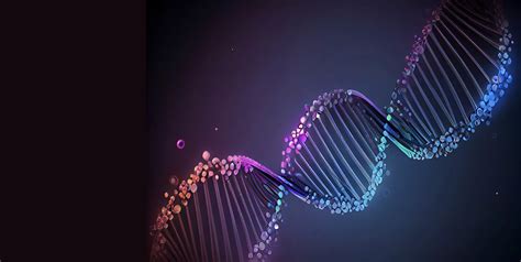 粒線體 抗老新技術 啟動能量源頭重啟細胞年輕新生力NRF 抗老 活化粒線體 延長端粒的秘密