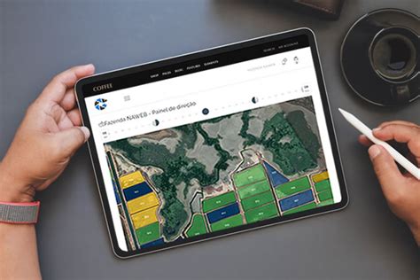 Layout Responsivo Despesca