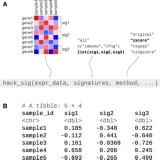 Syntax And Output For The Main Function Hack Sig A Possible