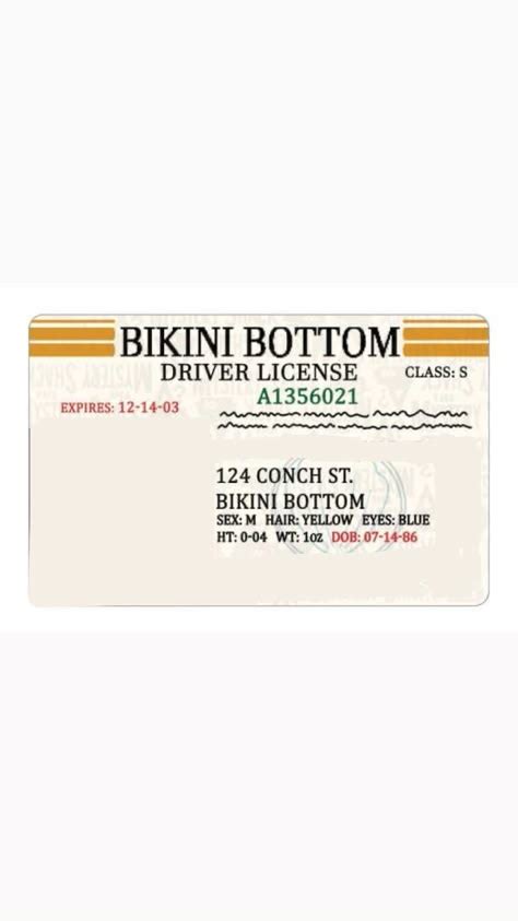Spongebob Driver License