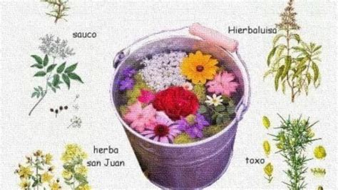 El Secreto De Belleza Mejor Guardado De Las Gallegas La Magia De Las