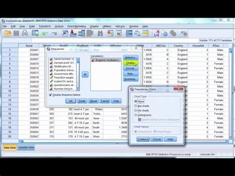55 Nominal Scale And Ordinal In Spss And Ordinal Spss