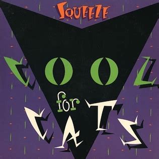 Cool For Cats Album Wikipedia