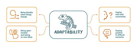 Adaptability Skills Summary