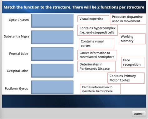 Match The Function To The Structure There Will Be Chegg Com