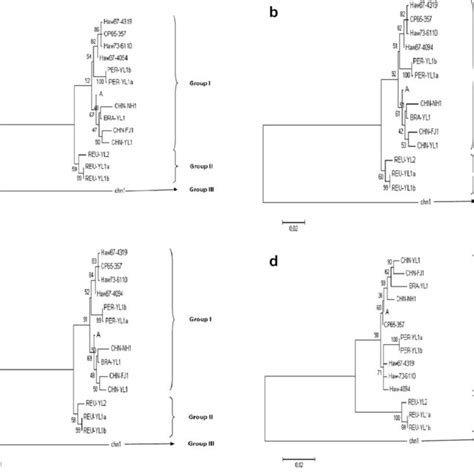 Characteristics Of The Truncated Sequences In Different Isolates Of