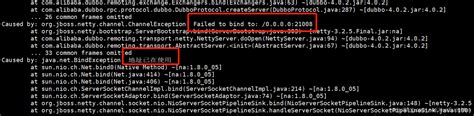 Linux部署的项目端口占用 Failed To Bind To 000021008failed To Bind To 0000 Csdn博客