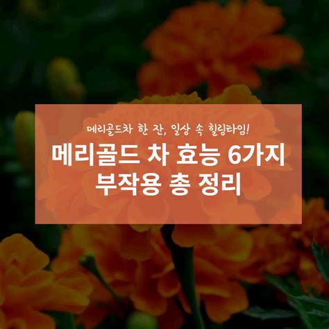 메리골드 효능 6가지 부작용 총 정리