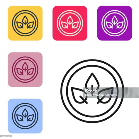 흰색 배경에 고립 된 검은 줄 비건 음식 다이어트 아이콘 유기농 바이오 에코 심볼 비건 고기 없음 유당 무료 건강 신선하고 비폭력적인 음식 색상 정사각형 단추로 아이콘을